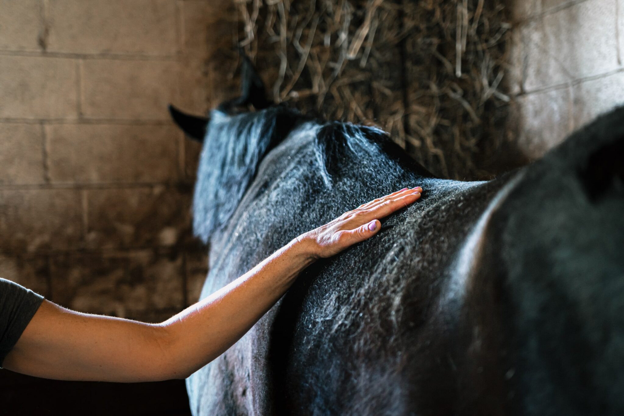What Is Experiential Therapy? | Monterey Bay Recovery